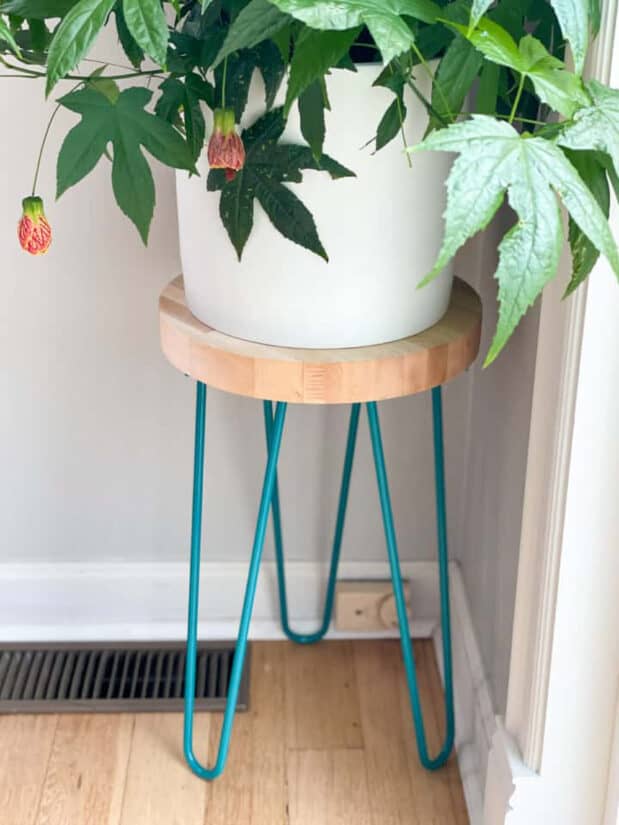 15 Easy DIY Plant Stands • Craving Some Creativity
