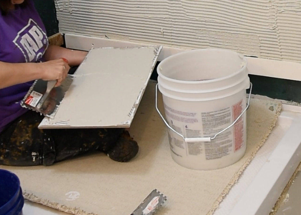 Beginner's Guide to Tiling Shower Walls • Craving Some Creativity