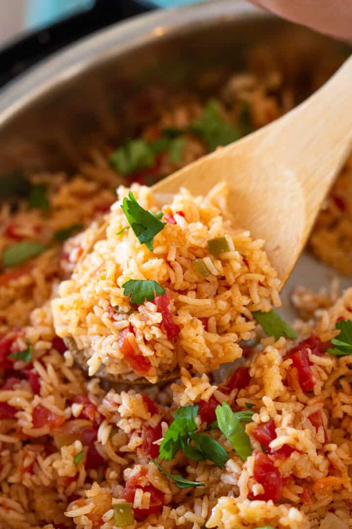 Slow Cooker Mexican Rice • Craving Some Creativity
